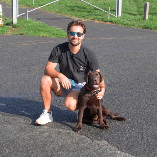 The Best Dog training Program In Northern Virginia puppy – NOVA Canine ...